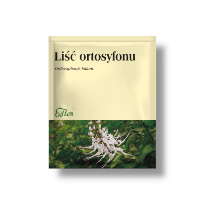 Liść ortosyfonu - Orthosiphonis folium | Flos.pl - internetowy sklep z ...